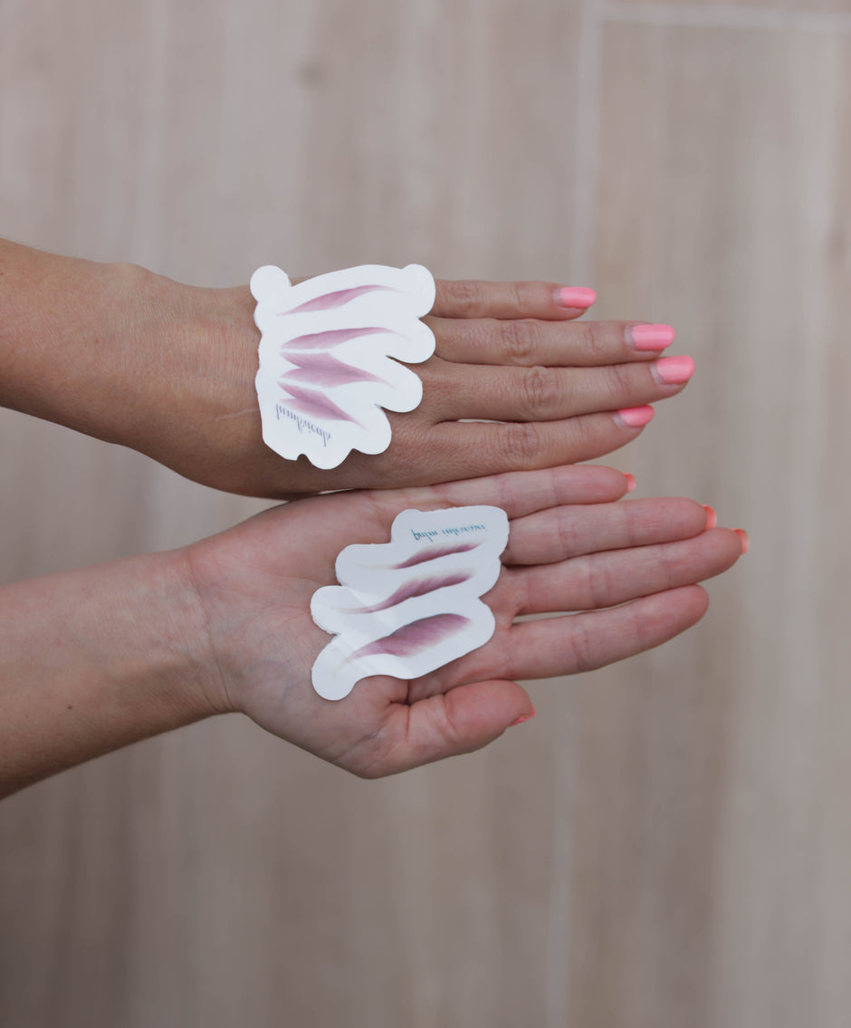 Bundles – Anatomy Ink Motion