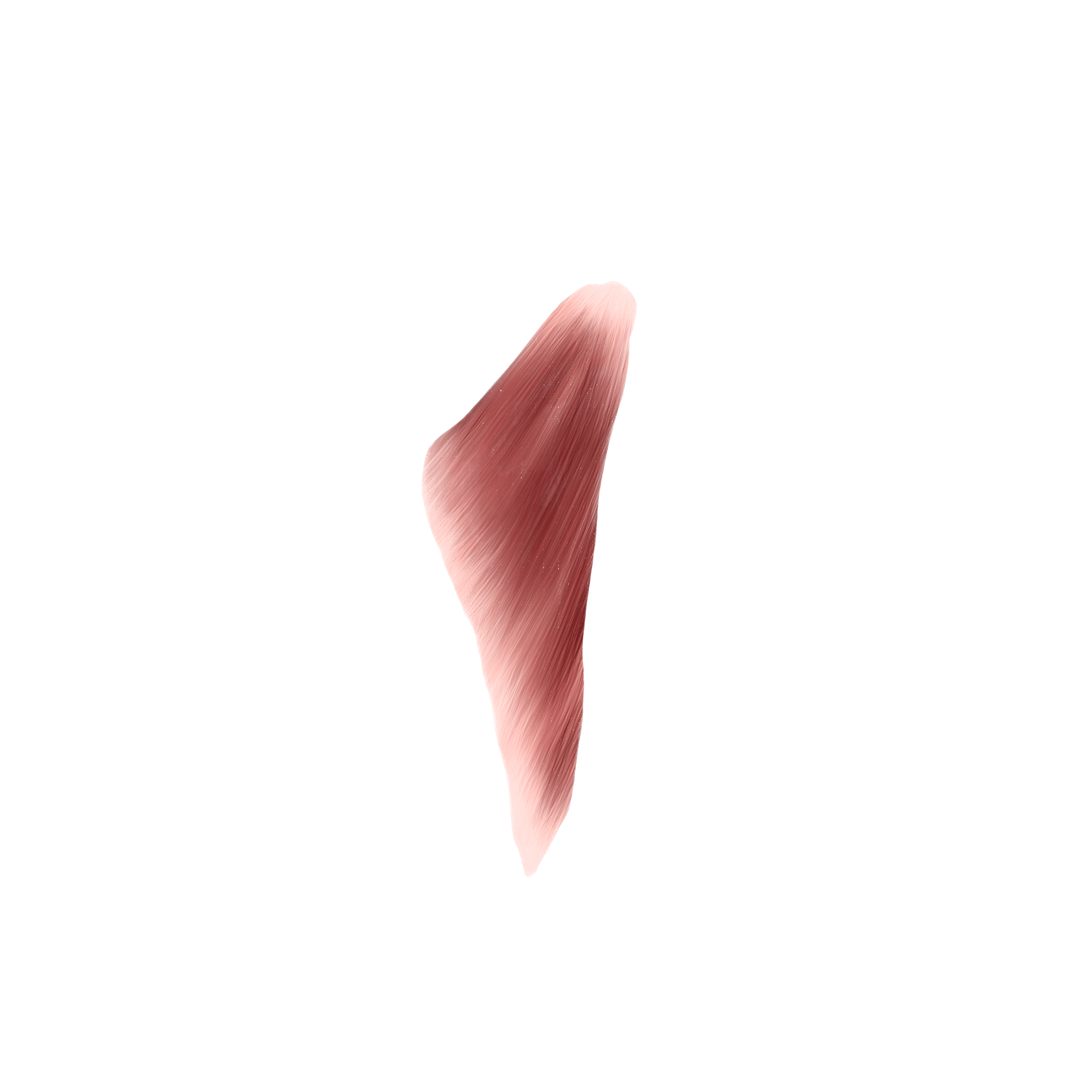 Products – Anatomy Ink Motion